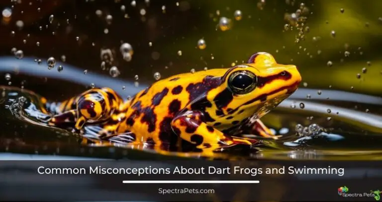 Can Dart Frogs Swim? [Everything You Need to Know] – Spectra Pets