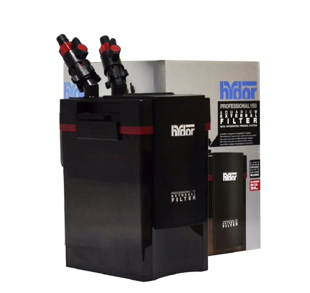 Best Filter For Axolotl Tank: Top Choices in 2023 – Spectra Pets