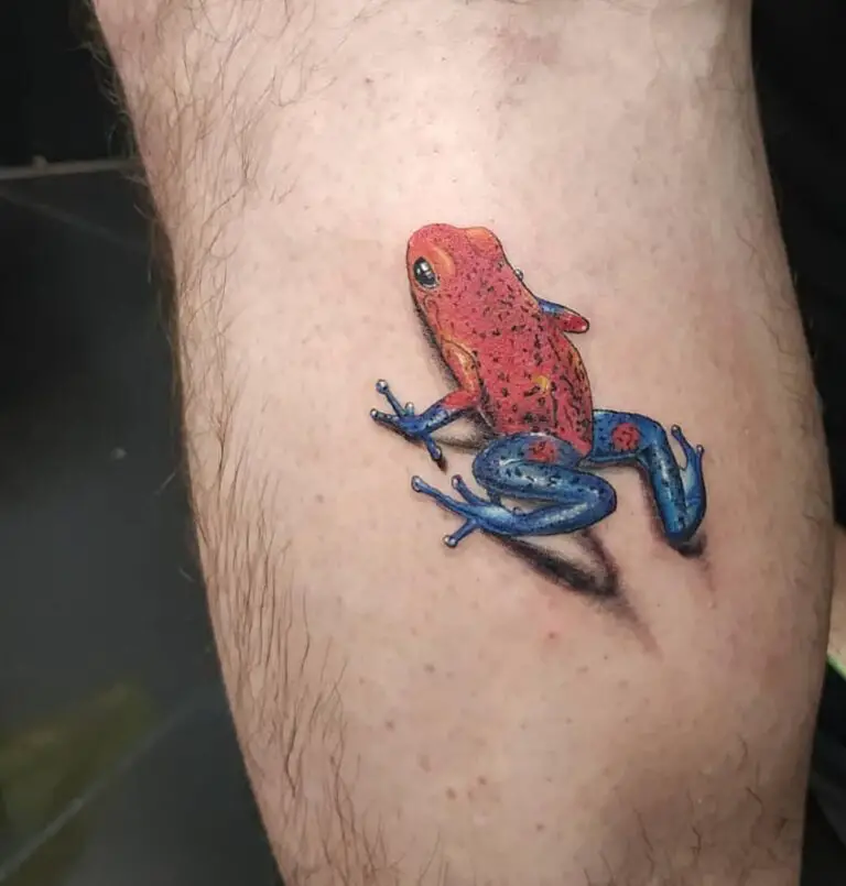52 Frog Tattoo Ideas For Men & Women: [Symbolism Explained]